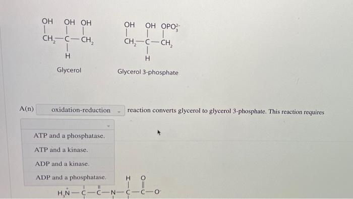 Solved For each pair of biomolecules, identify the type of | Chegg.com