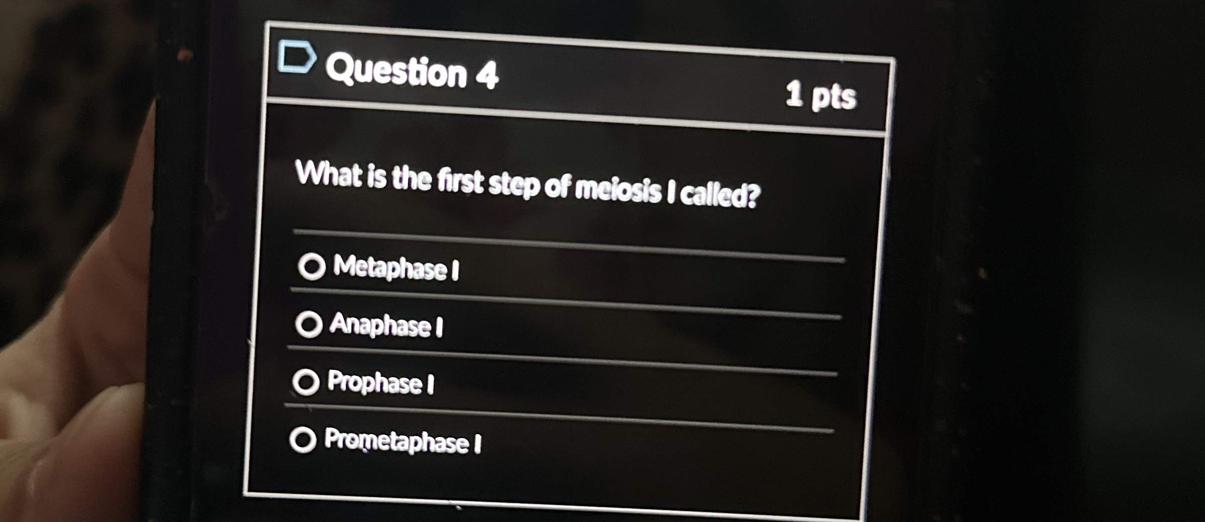 Solved Question 41 ﻿ptsWhat is the first step of melosis I | Chegg.com