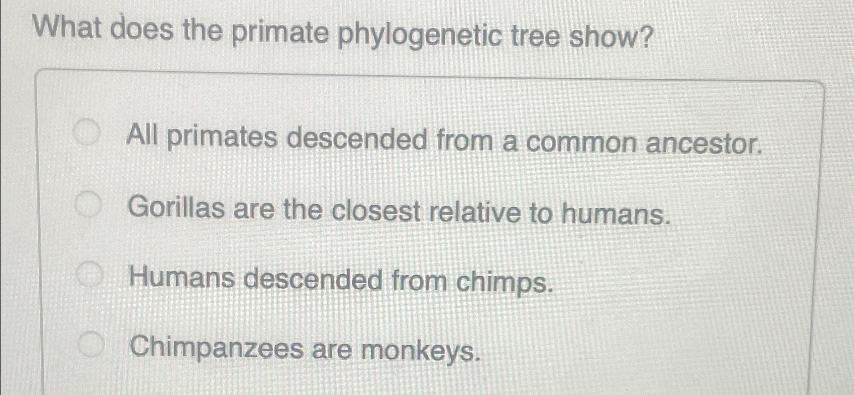 Solved What does the primate phylogenetic tree show?All | Chegg.com