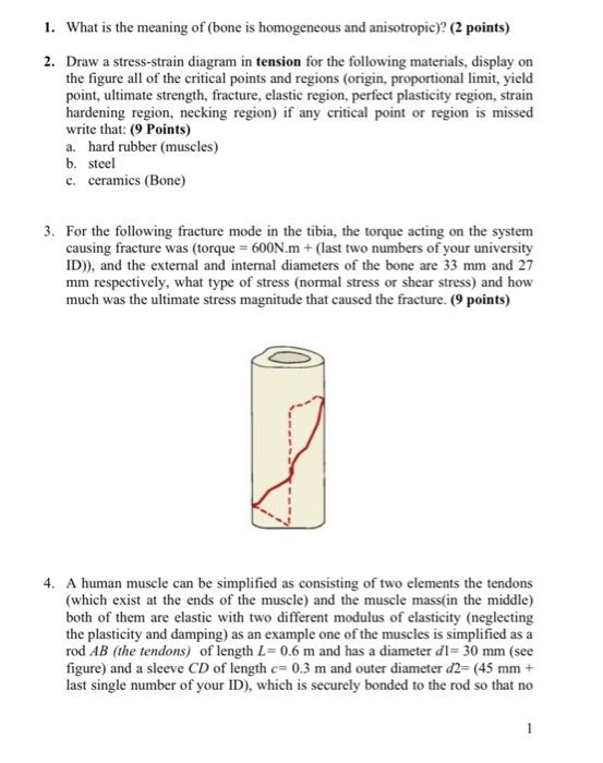 Solved 1. What is the meaning of (bone is homogeneous and | Chegg.com