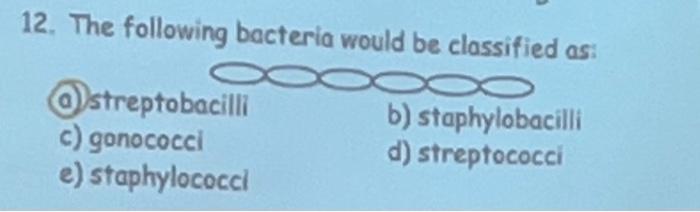 Solved 12. The following bacteria would be classified as: | Chegg.com