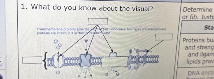 Solved 1. What do you know about the visual? Determine or | Chegg.com