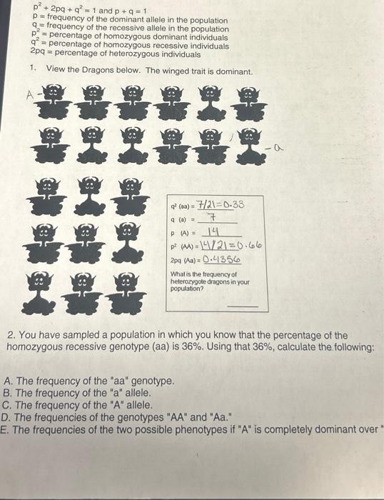 Solved p2+2pq+q2=1 and p+q=1 p= frequency of the dominant | Chegg.com Solved p2+2pq+q2=1 and p+q=1 p= frequency of the dominant | Chegg.com