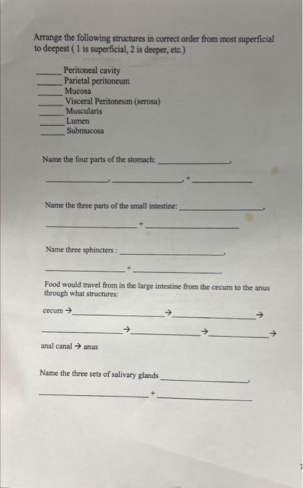 Solved Arrange the following structures in correct order | Chegg.com