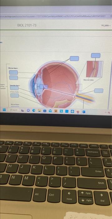 Solved drag the appropriate labels to their respective | Chegg.com