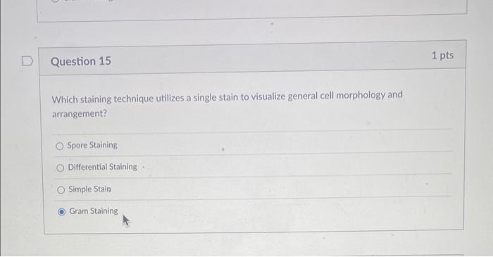 Solved Which staining technique allows for the visualization | Chegg.com
