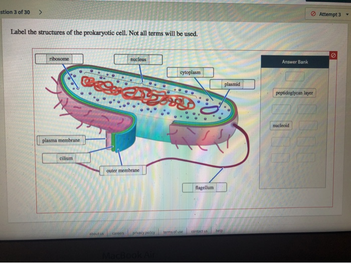 Solved Chee 18 of 30 > If a buffer solution is 0.240 M in a | Chegg.com