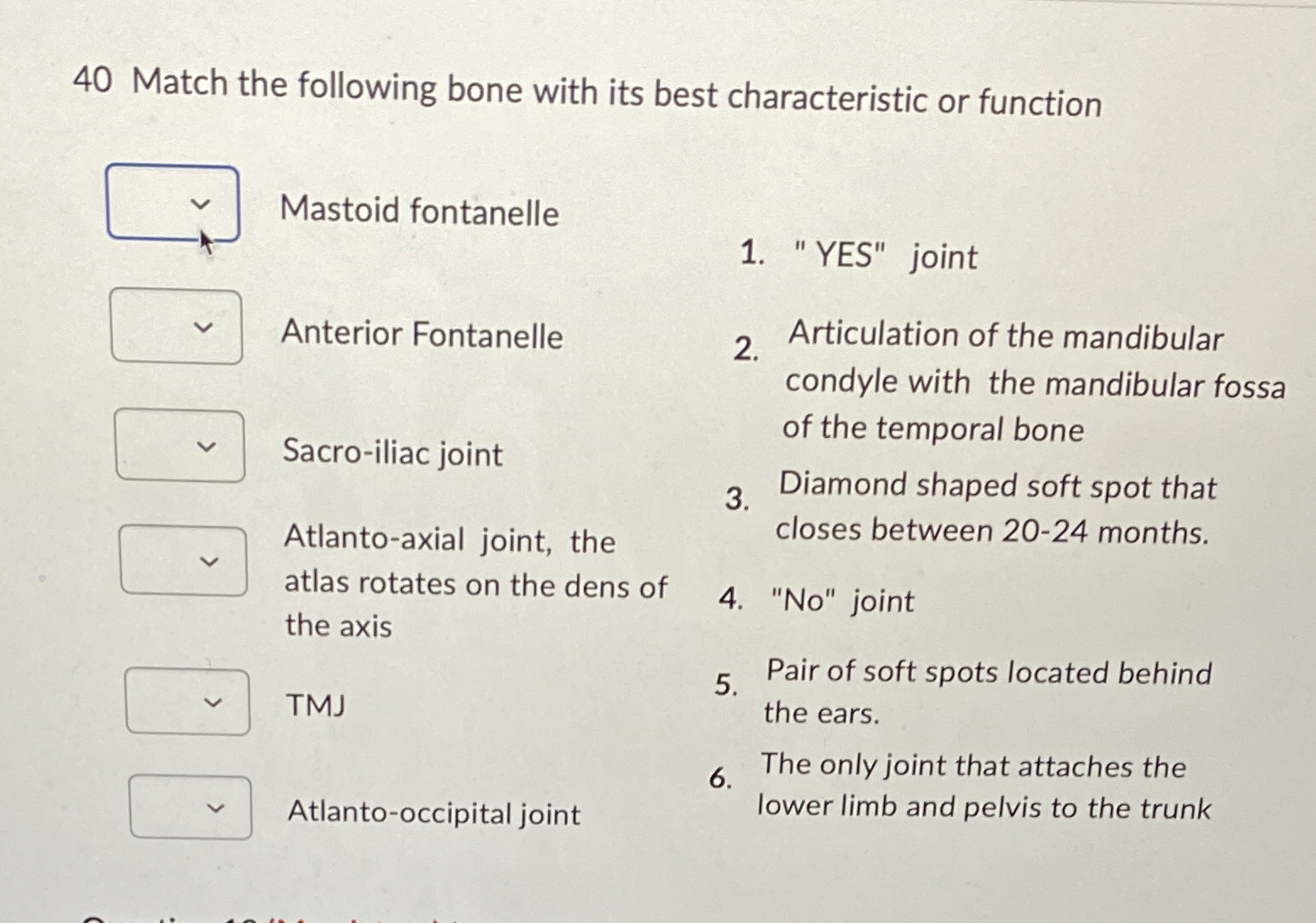 Solved 40 ﻿Match the following bone with its best | Chegg.com
