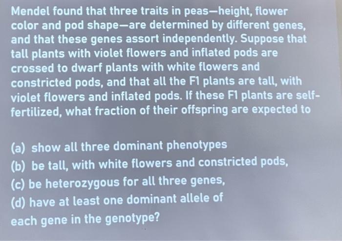 Solved Mendel found that three traits in peas-height, flower | Chegg.com