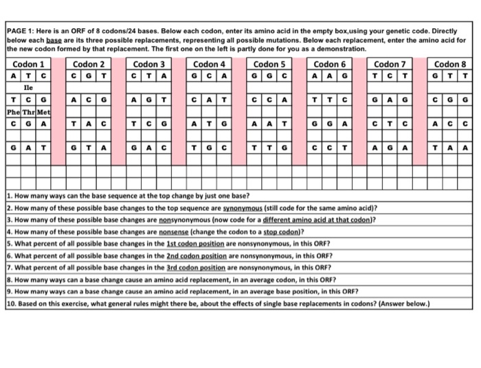 Solved IPAGE 1: Here is an ORF of 8 codons/24 bases. Below | Chegg.com