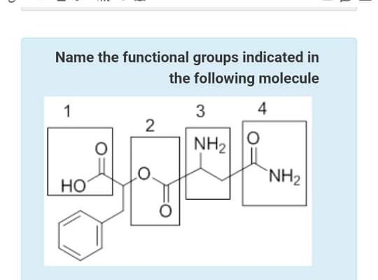 Solved Name the functional groups indicated in the following | Chegg.com