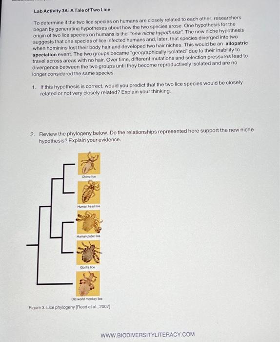 Solved Lab Activity 3A: A Tale of Two Lice To determine if | Chegg.com