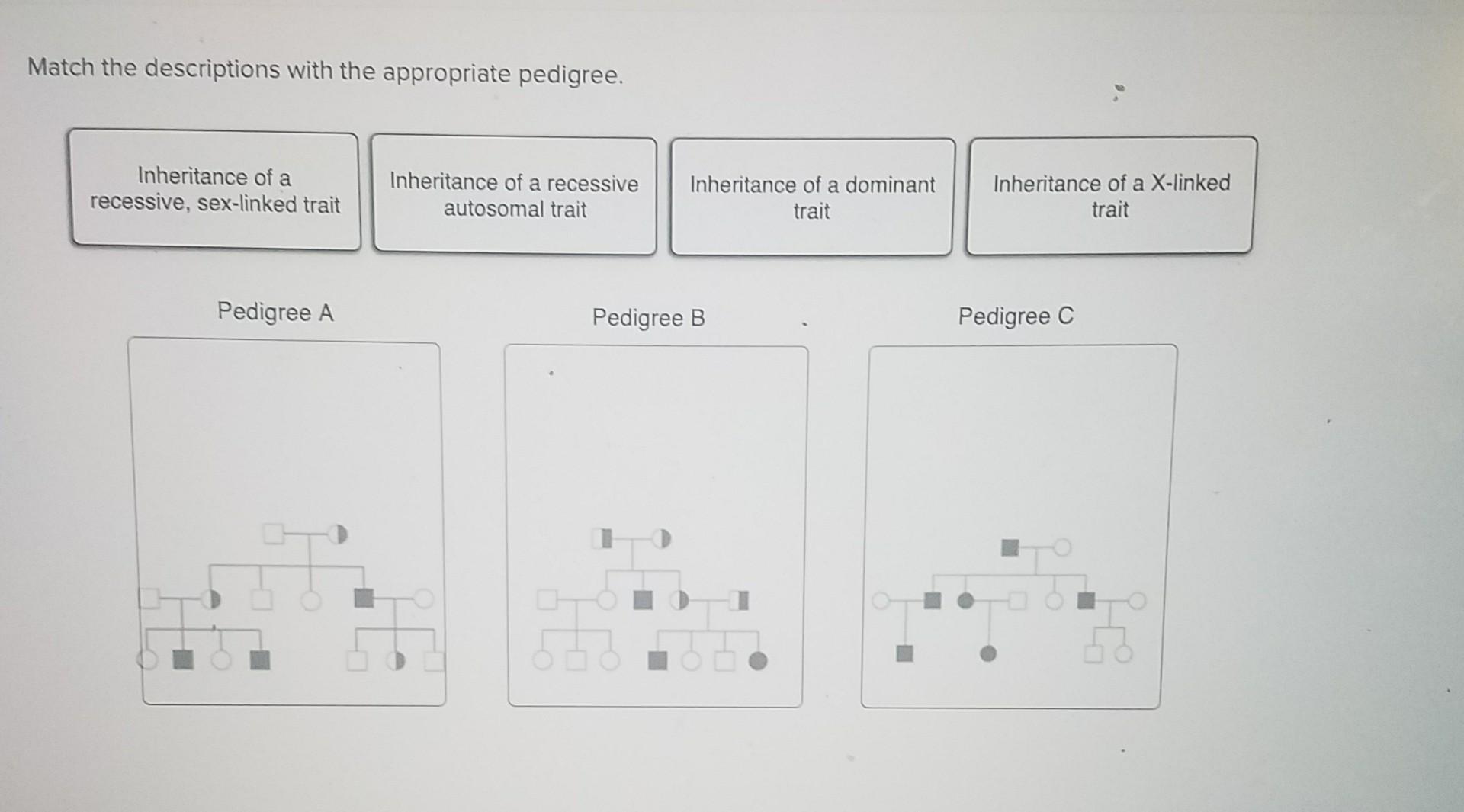 Solved Match the descriptions with the appropriate pedigree. | Chegg.com