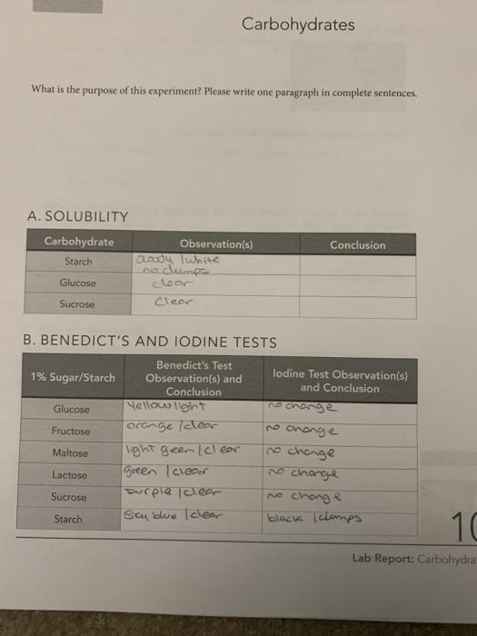 Solved Carbohydrates What is the purpose of this experiment? | Chegg.com