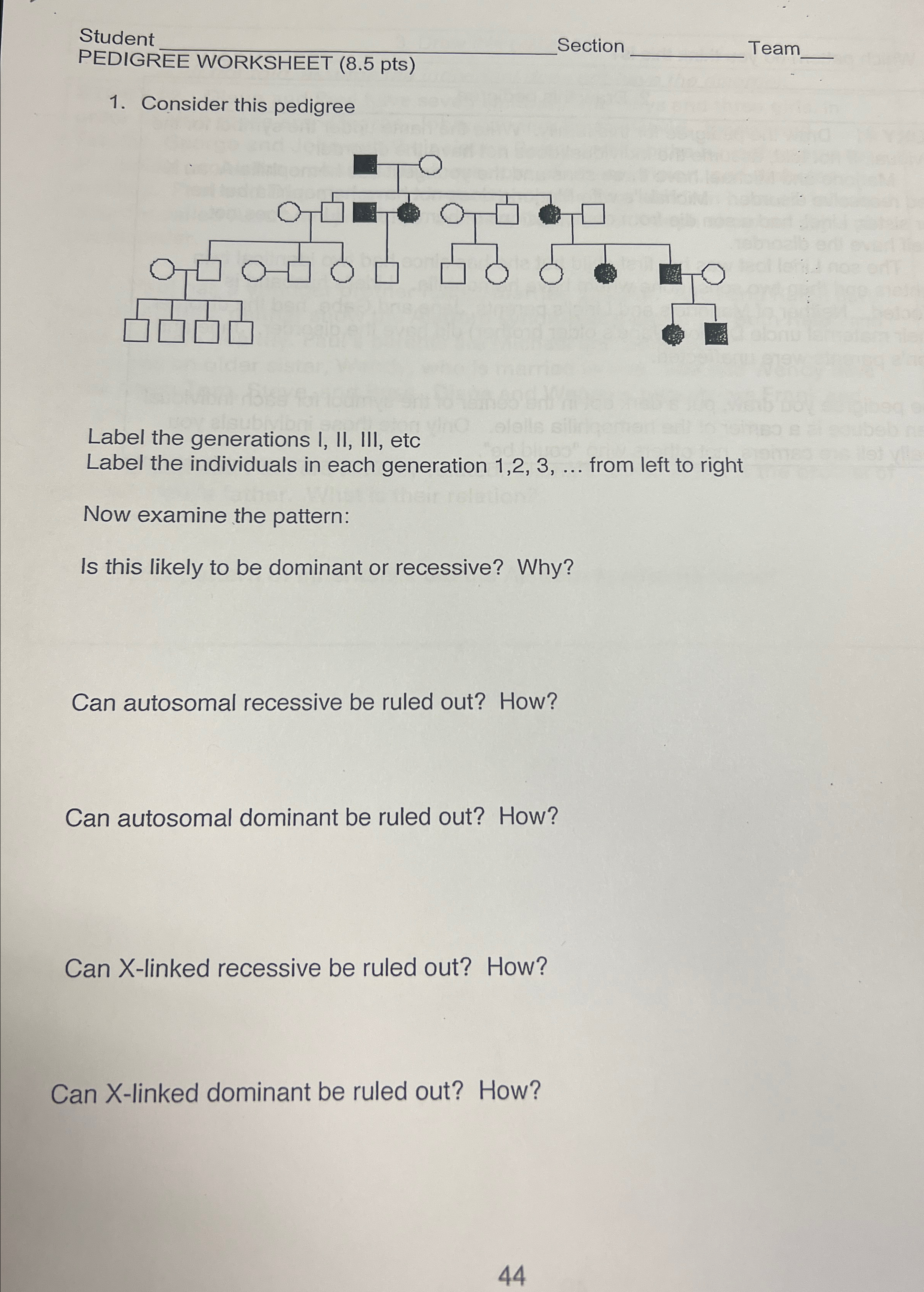 Solved Student q, ﻿PEDIGREE WORKSHEET (8.5 ﻿pts) ﻿Section | Chegg.com