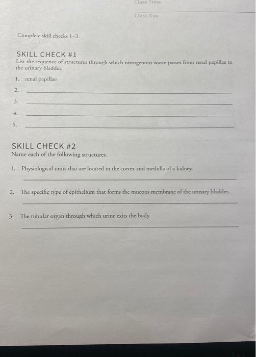 Solved Class Time CLASS Day Complete skill checks 1-3. SKILL | Chegg.com