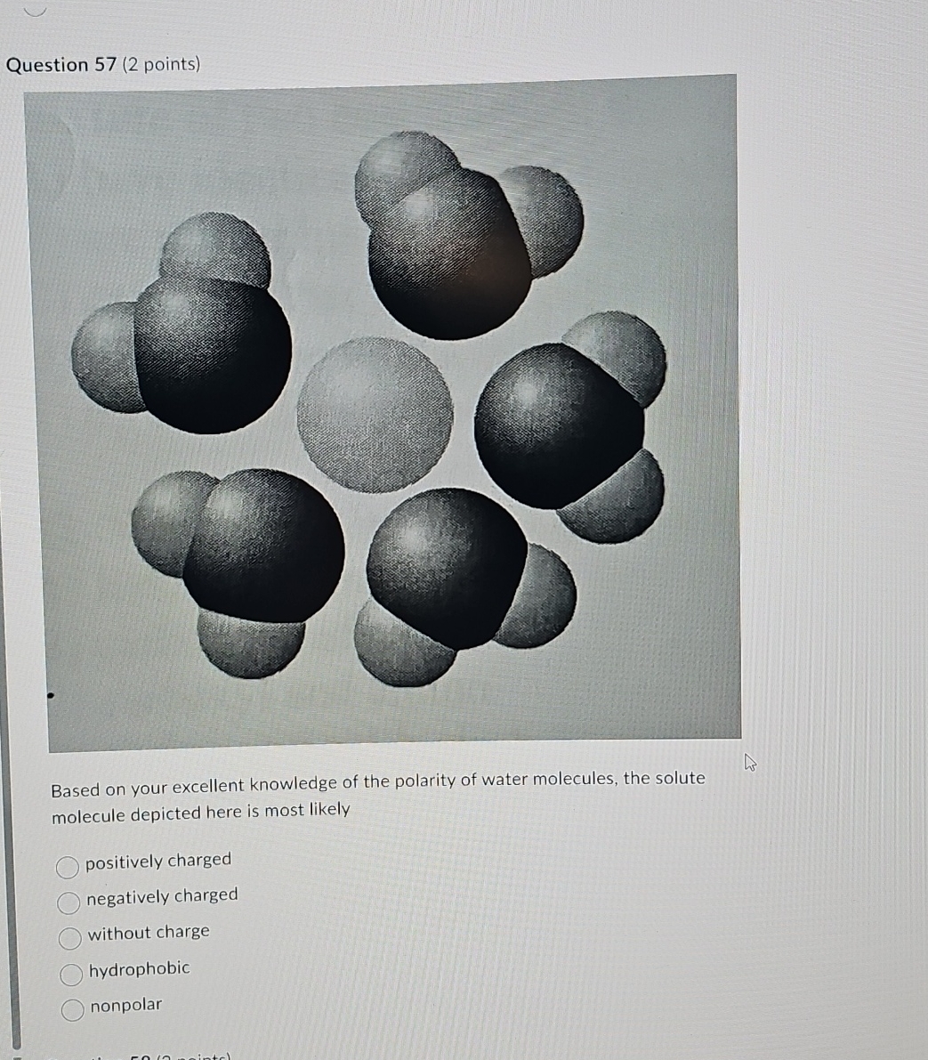 Solved Question 57 (2 ﻿points) ﻿Based on your excellent | Chegg.com