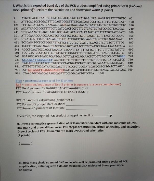 Solved 1. What is the expected band size of the PCR product | Chegg.com