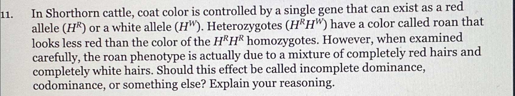 Solved In Shorthorn cattle, coat color is controlled by a | Chegg.com