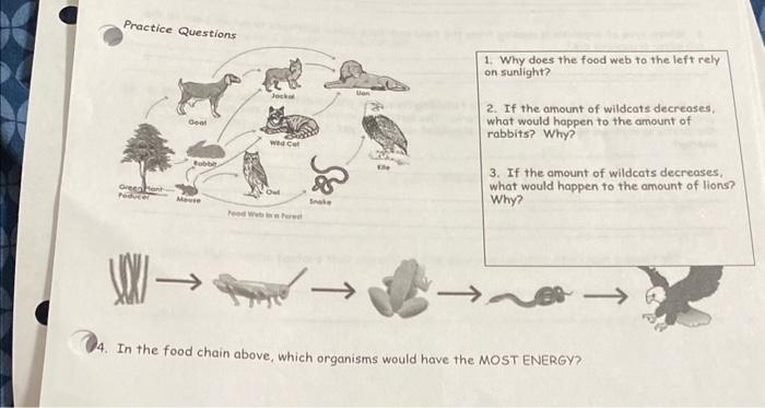 Solved Practice Questions 1. Why does the food web to the | Chegg.com
