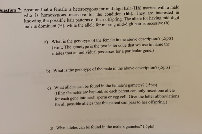 Solved uestion 7: Assume that a female is heterozygous for | Chegg.com
