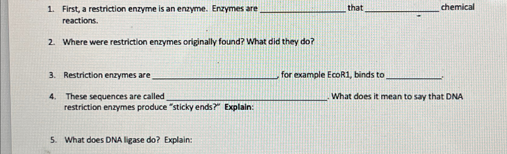 Solved First, a restriction enzyme is an enzyme. Enzymes are | Chegg.com