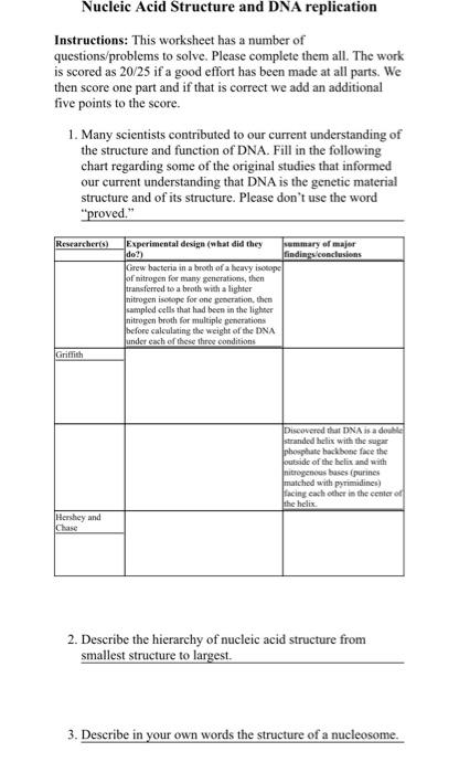 Solved Nucleic Acid Structure and DNA replication | Chegg.com