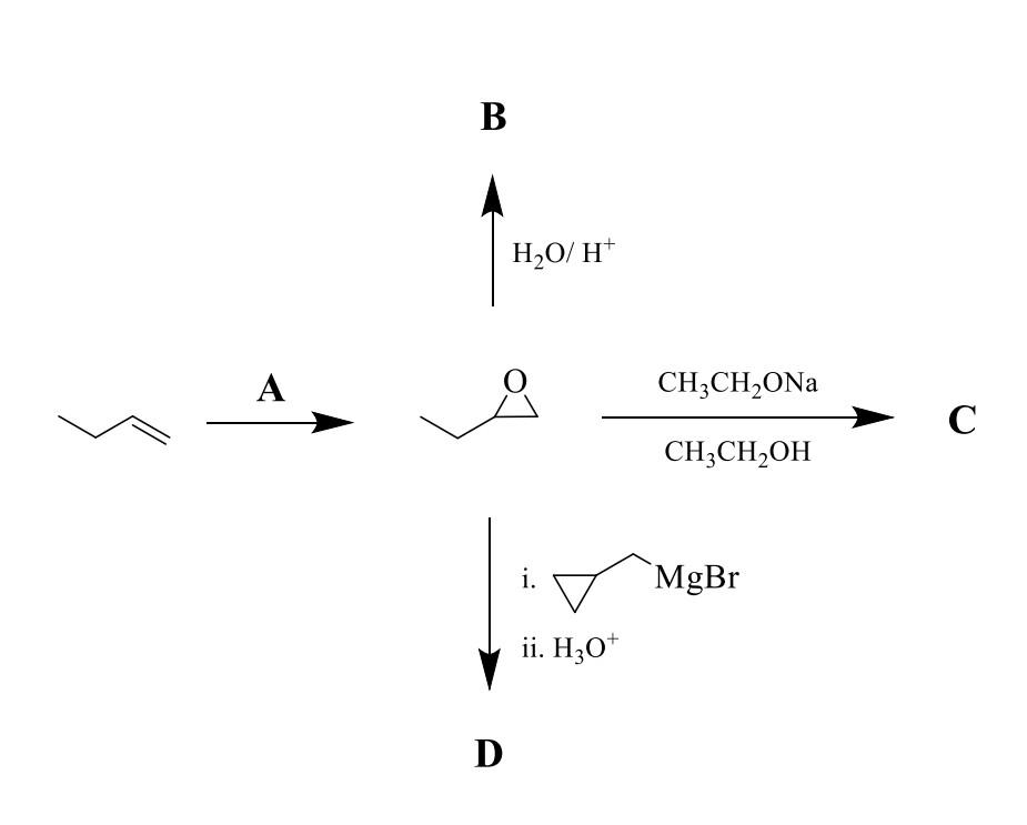 Solved B C i. D | Chegg.com
