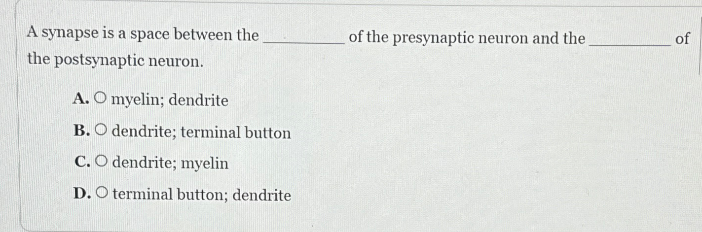 Solved A synapse is a space between the of the presynaptic | Chegg.com