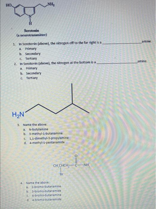 Solved Serotomin (a neurotransmitter) 1. In Serotonin | Chegg.com