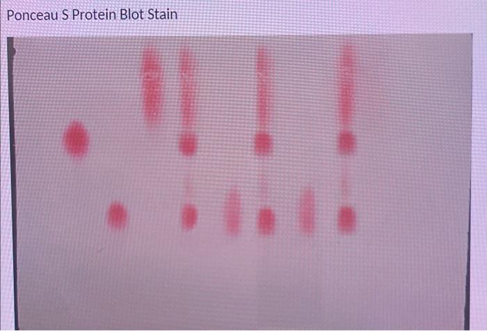 [Solved]: from this pictures, insert figure 1 as if was incl