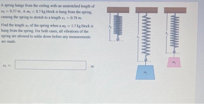 Solved A spring hangs from the ceiling with an unstretched | Chegg.com