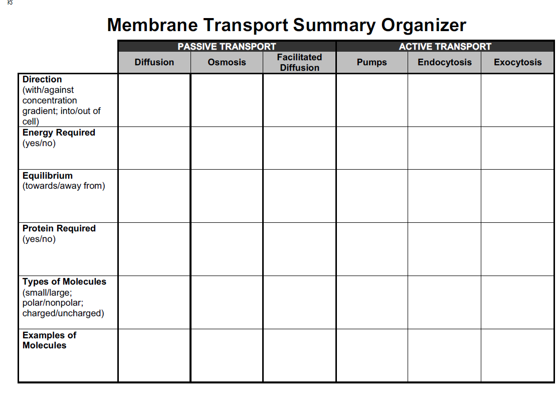 Solved Membrane Transport Summary Organizer\table[[,PASSIVE | Chegg.com