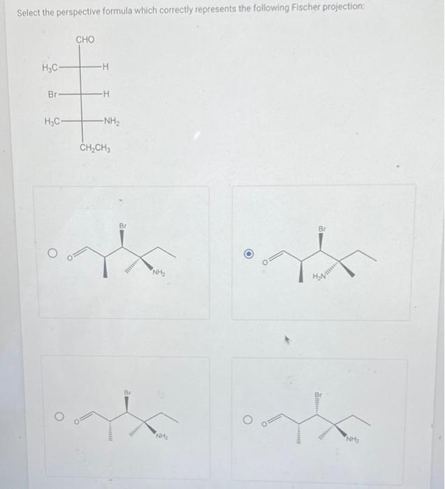 Solved Select the perspective formula which correctly | Chegg.com
