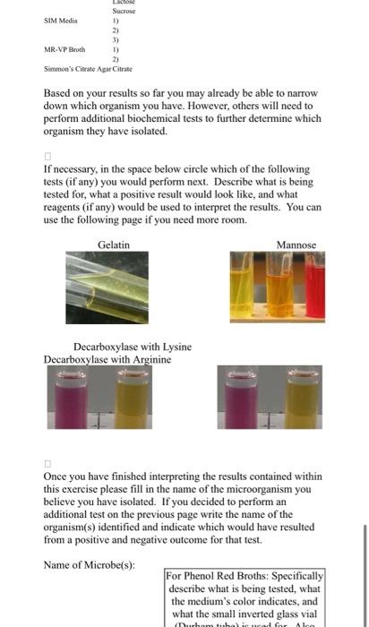 Solved Laboratory Exercise 13: Bacterial Isolation and | Chegg.com