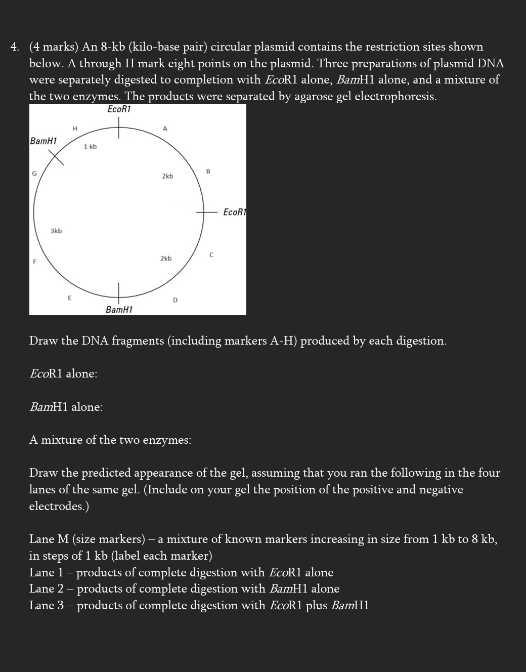 Solved (4 ﻿marks) ﻿An 8-kb (kilo-base pair) ﻿circular | Chegg.com
