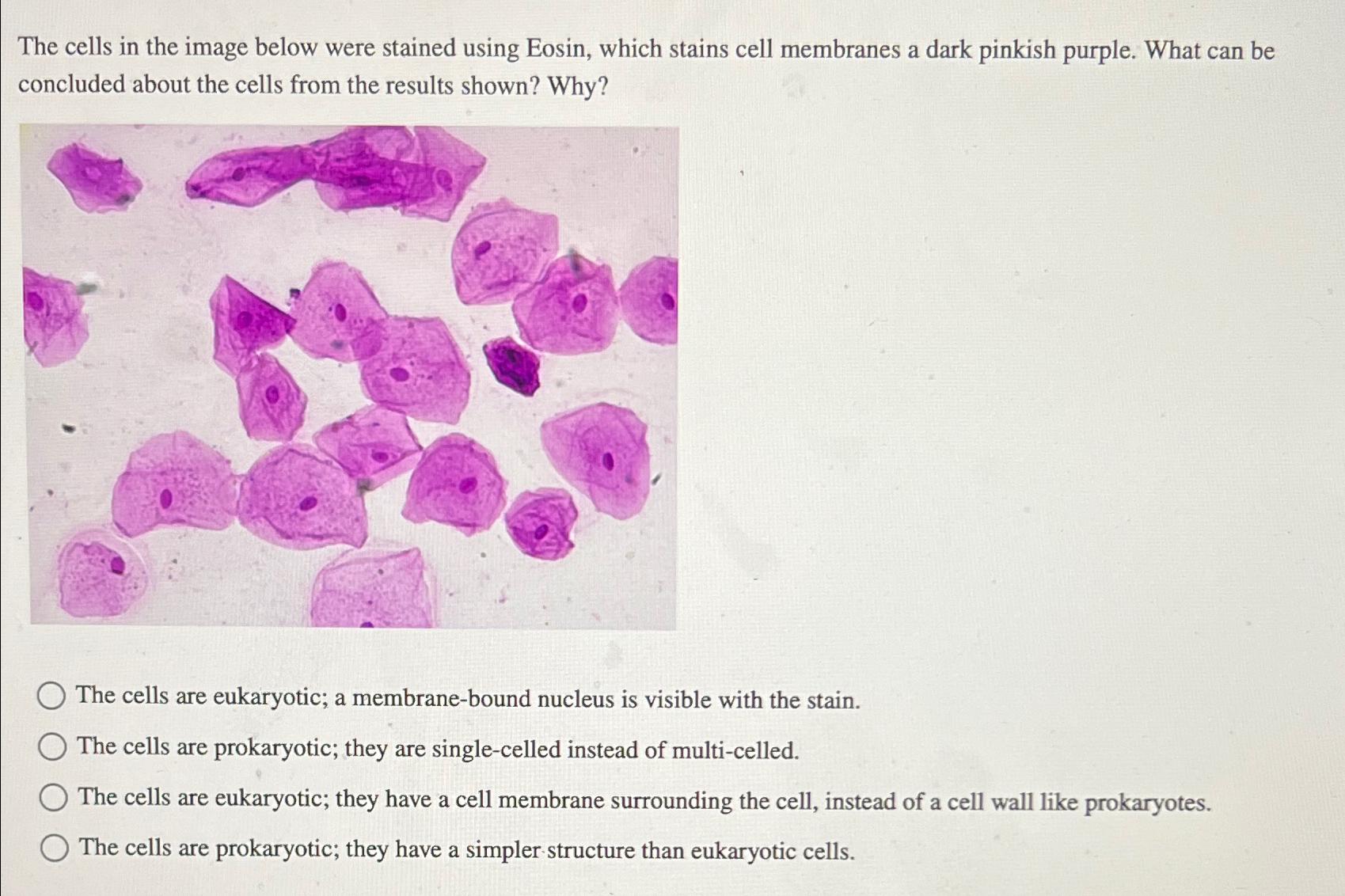 Solved The cells in the image below were stained using | Chegg.com