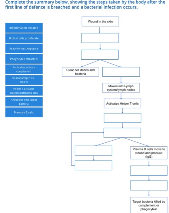 Solved Complete the summary below, showing the steps taken | Chegg.com