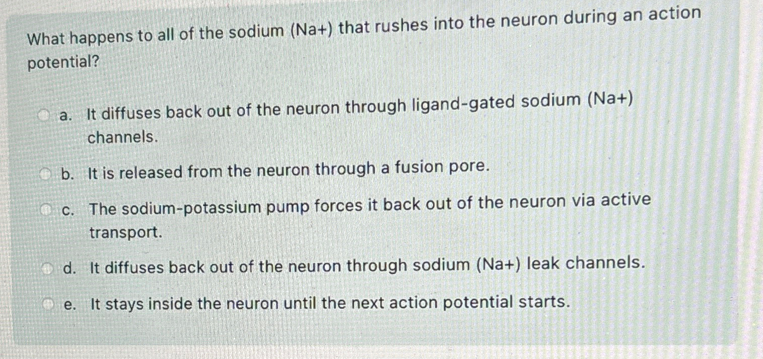 Solved What happens to all of the sodium (Na+) ﻿that rushes | Chegg.com