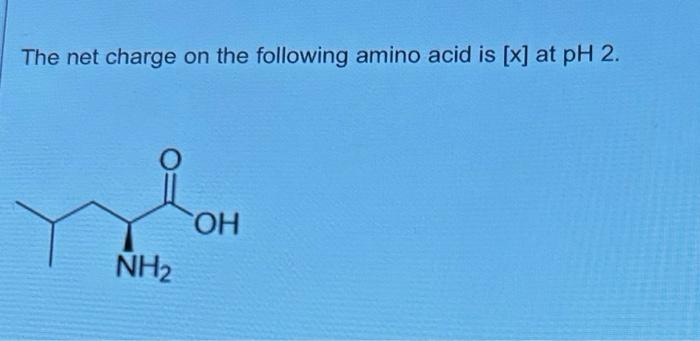 Solved The net charge on the following amino acid is [x] at | Chegg.com