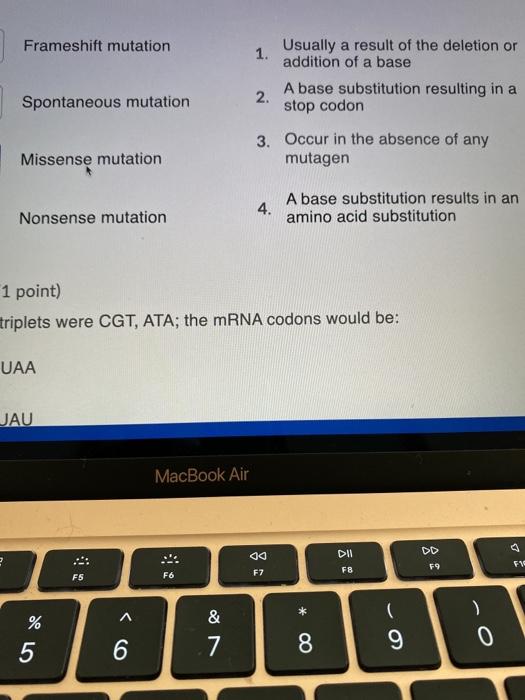 Solved Frameshift mutation 1. Usually a result of the | Chegg.com