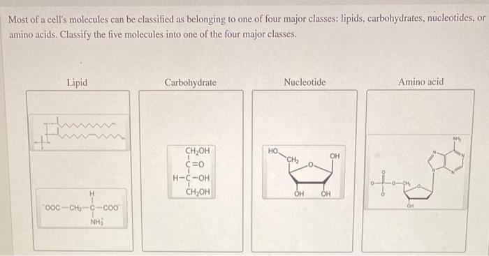 Solved Classify the five molecules into one of the four | Chegg.com