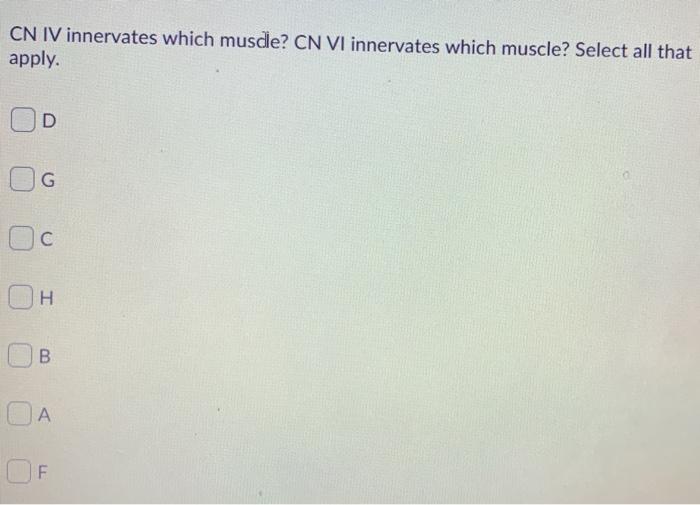 Solved A B с D E H G F CN IV innervates which muscle? CN | Chegg.com