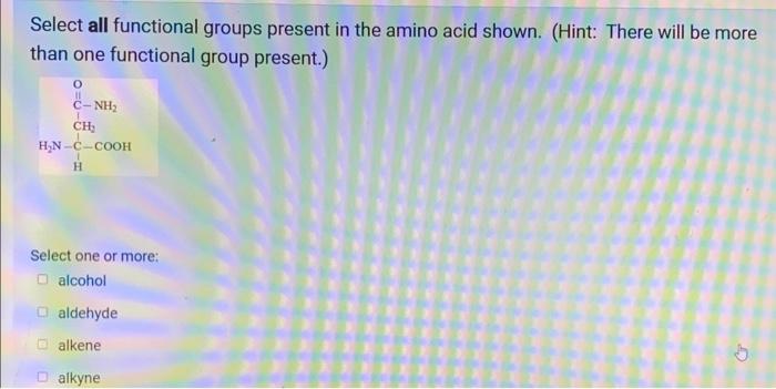 Solved Select all functional groups present in the amino | Chegg.com
