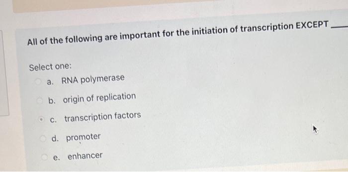 Solved All of the following are important for the initiation | Chegg.com