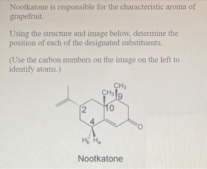 Solved Nootkatone is responsible for the characteristic | Chegg.com