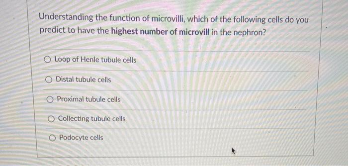 Solved Understanding the function of microvilli, which of | Chegg.com