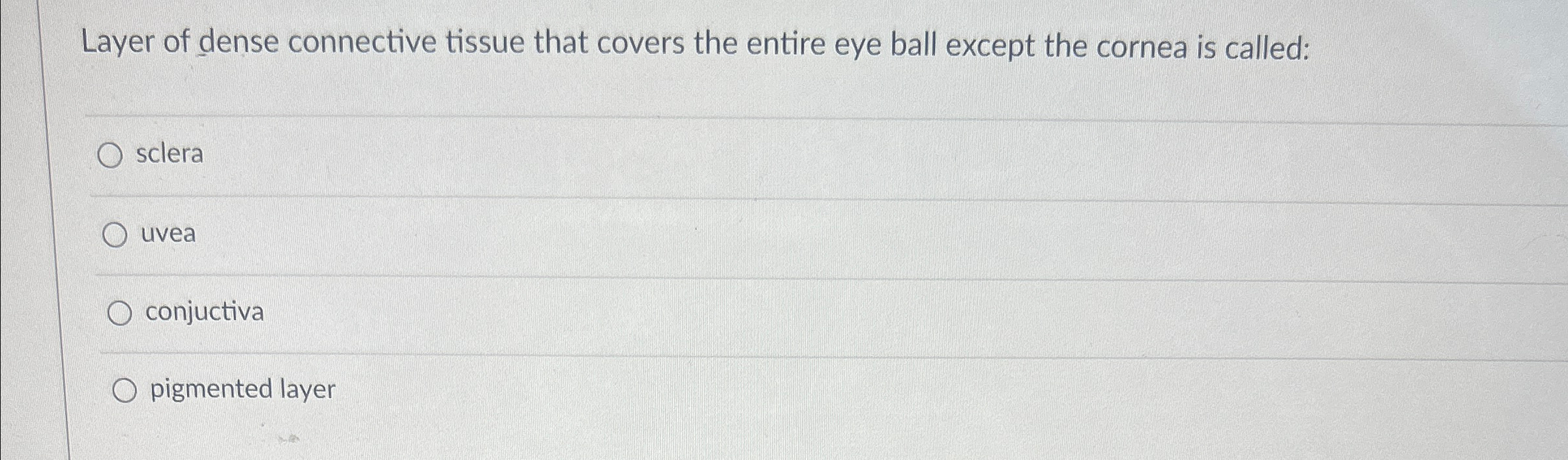 Solved Layer of dense connective tissue that covers the | Chegg.com
