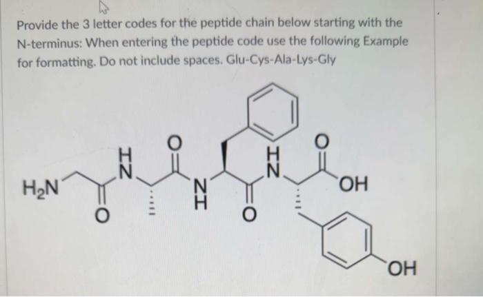 Solved Provide the 3 letter codes for the peptide chain | Chegg.com