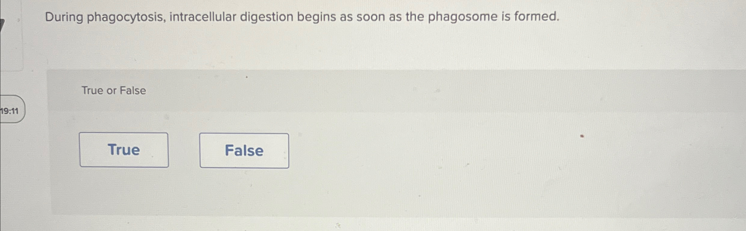 Solved During phagocytosis, intracellular digestion begins | Chegg.com